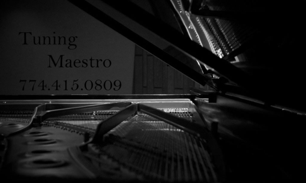 Contact info - Tuning Maestro